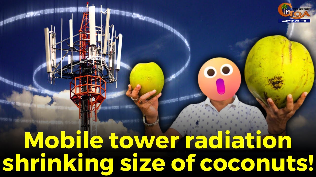 Mobile tower radiation shrinking size of coconuts! - YouTube