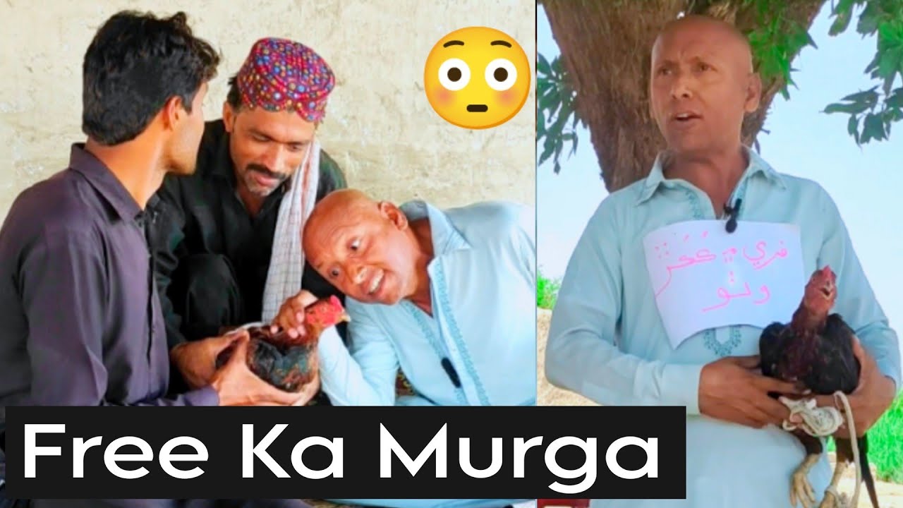 Free Ka Murga 😳 Funny video | Mogoo Shahbaz - YouTube