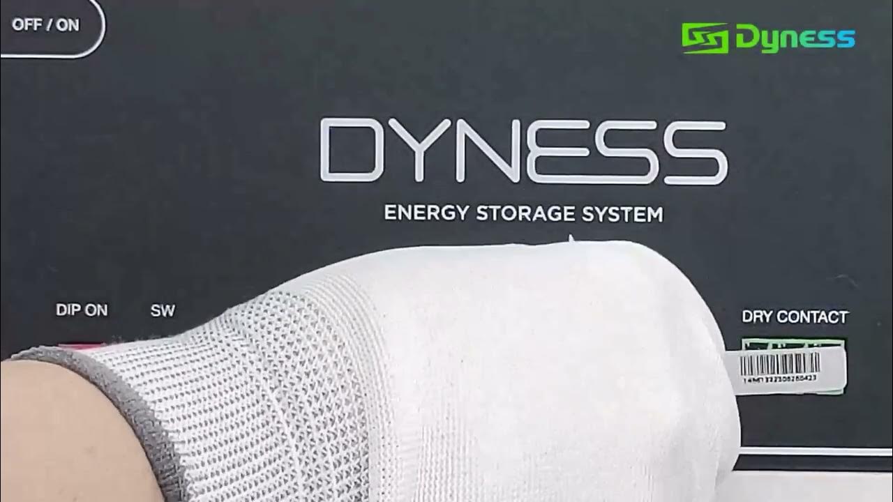 How to Connect Dyness DL5.0C Battery with Deye Inverter: Step-by-Step Guide - YouTube