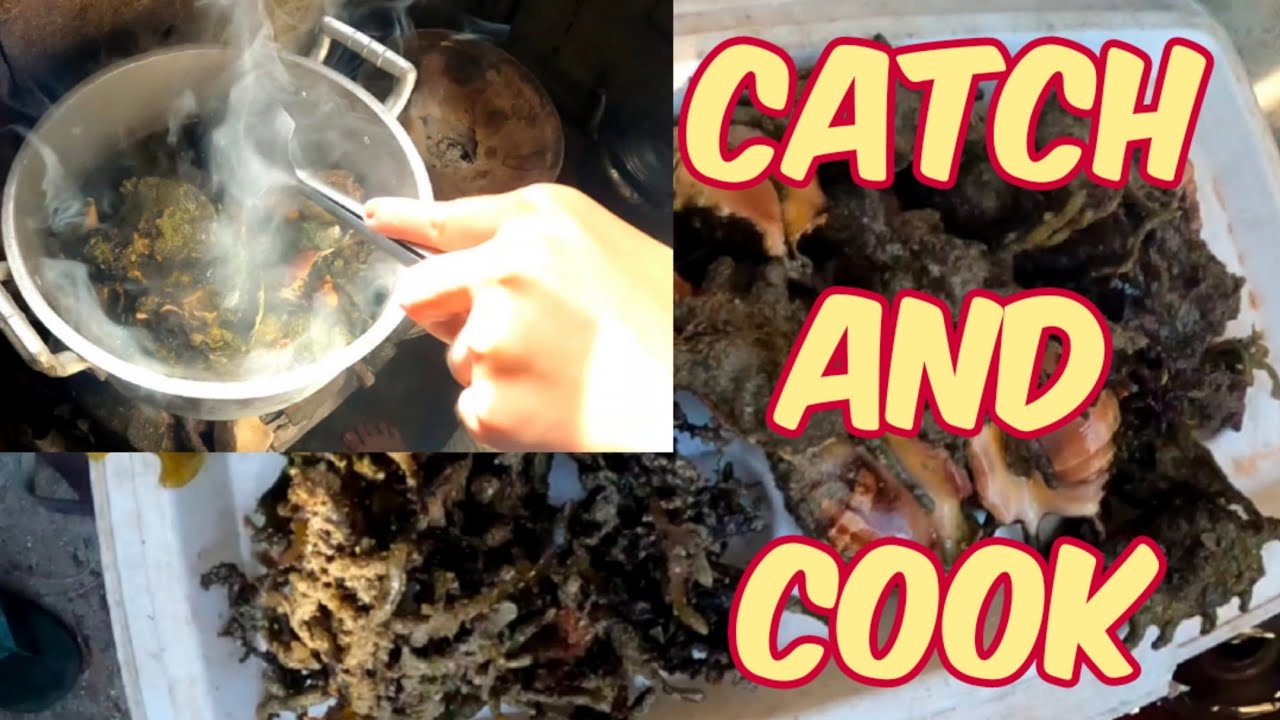 DAMING HULING SAANG/CATCH AND COOK - YouTube