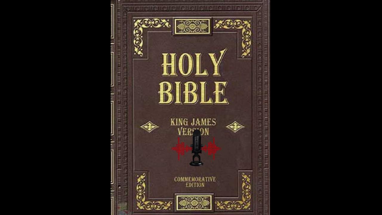 Daily Bible Study 1 Chronicles 28-29 - YouTube