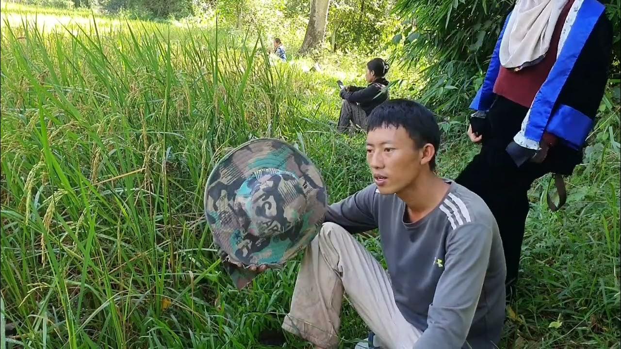 hnub no peb mus hlais peb li nplej lawm os - YouTube