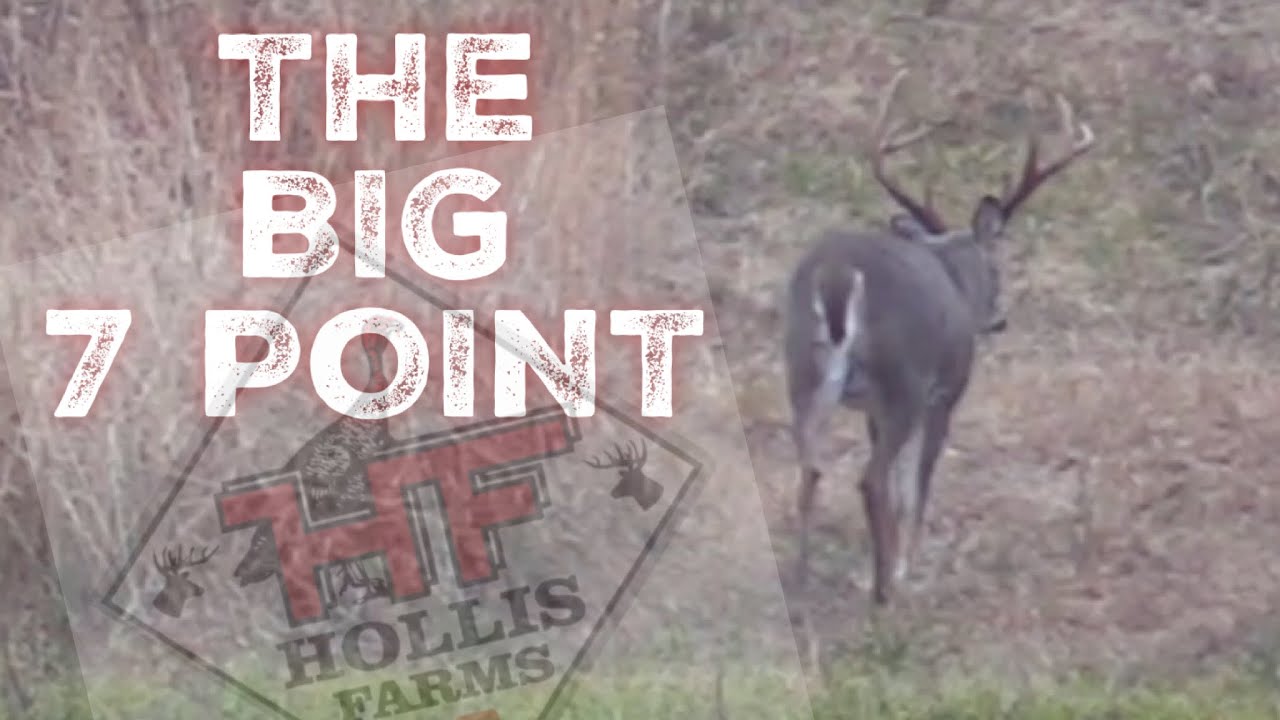 THE BIG 7 POINT WHITETAIL BUCK 🦌🦌🦌 Won’t Get Broadside 😡 - YouTube