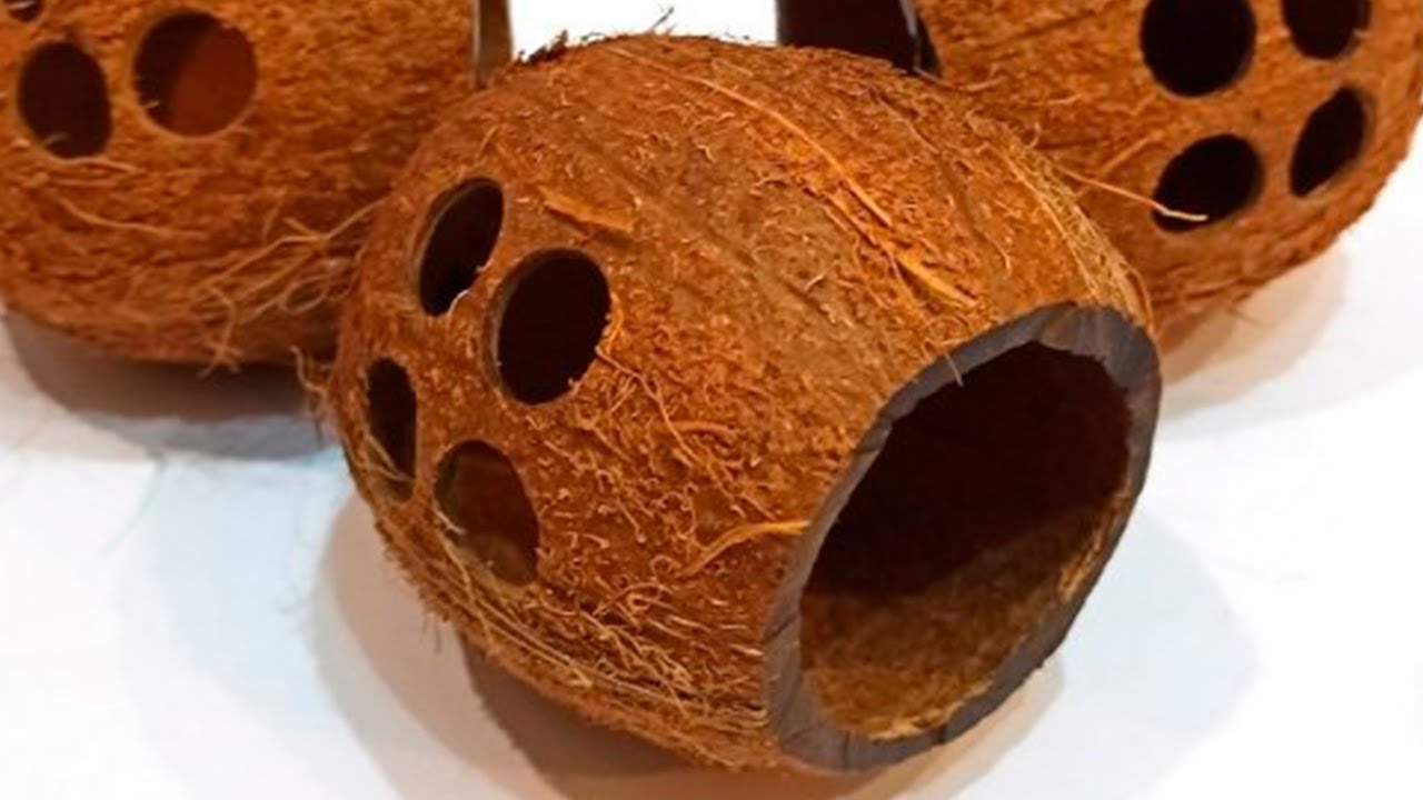 It's great! I made it from coconut! - YouTube