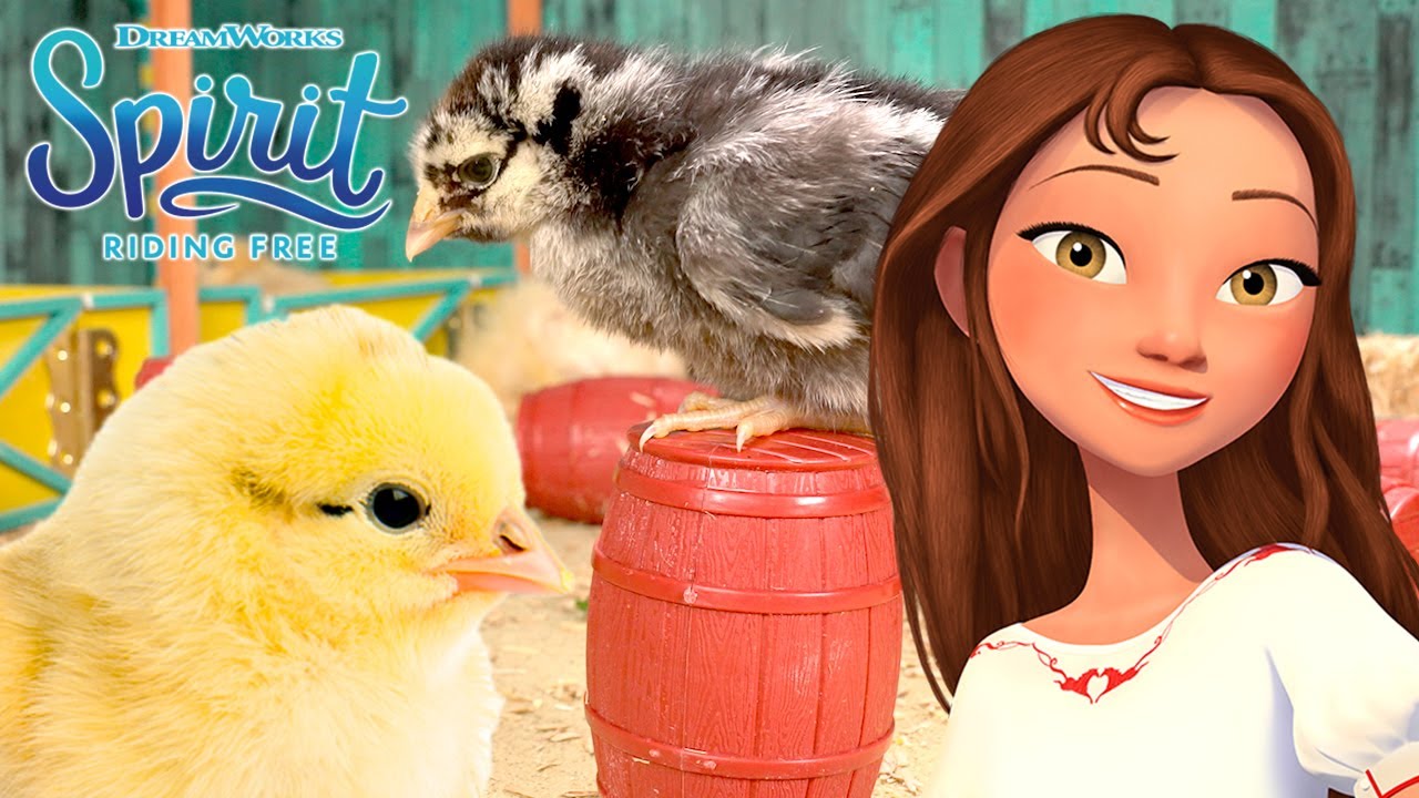 Baby Chicks in the Barn | SPIRIT RIDING FREE - YouTube