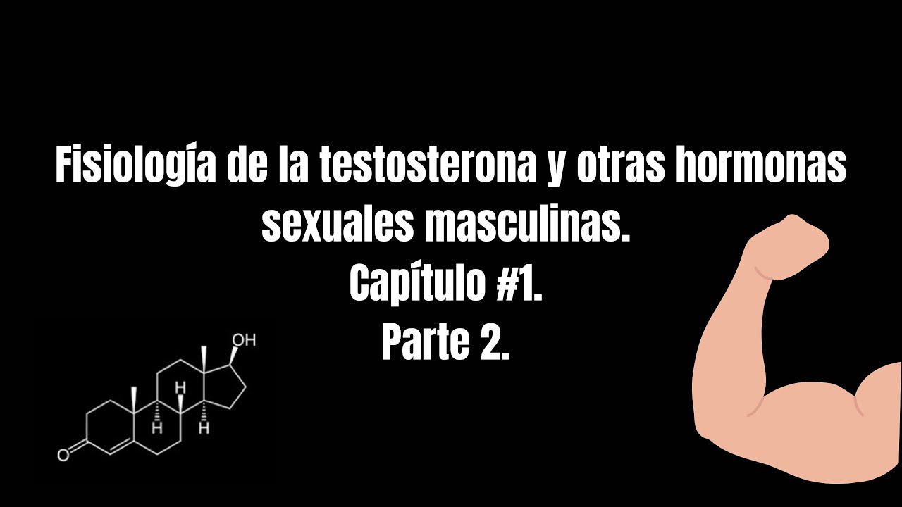 Fisiología de la testosterona y otras hormonas sexuales masculinas ...