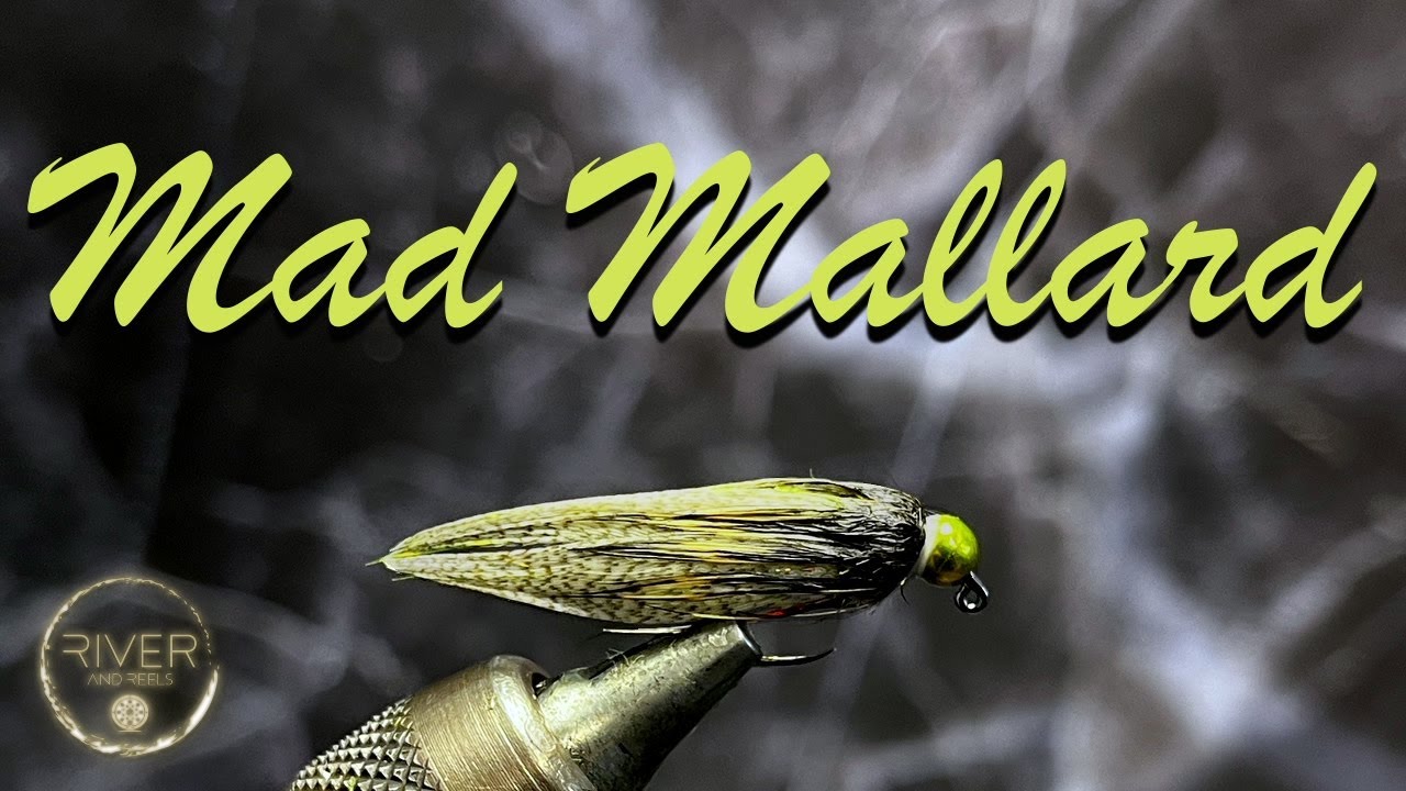 Mad Mallard & Yellow Trout Streamer - YouTube