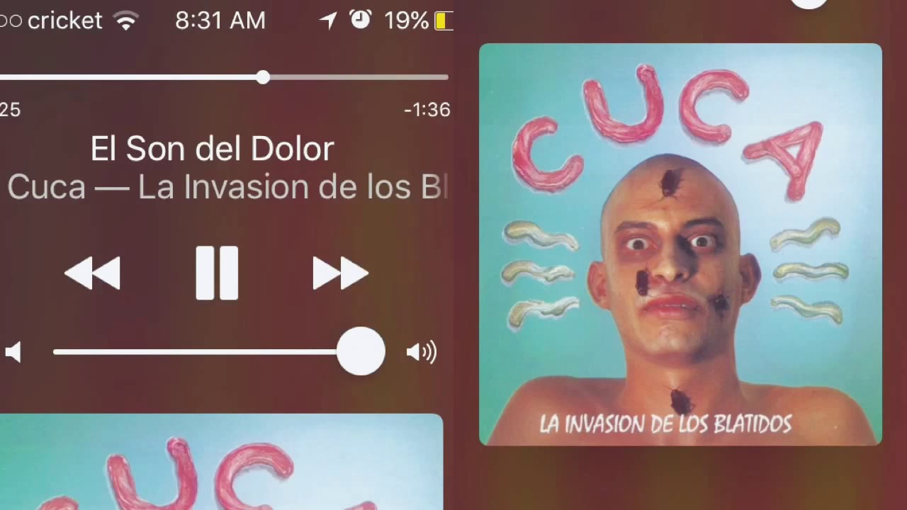 Cuca - El Son Del Dolor - YouTube