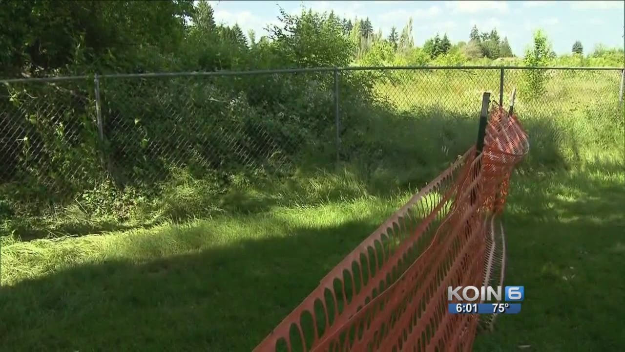 Removal of Poison Oak delayed - YouTube
