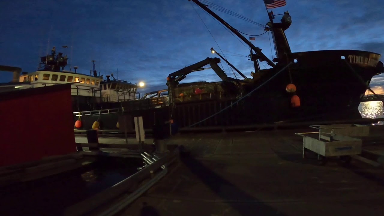 Homer Alaska Boat Harbor - YouTube