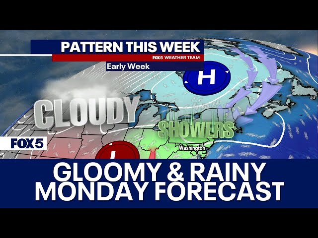 Washington Weather Memes DC Weather: Sunny But Windy Friday With Highs