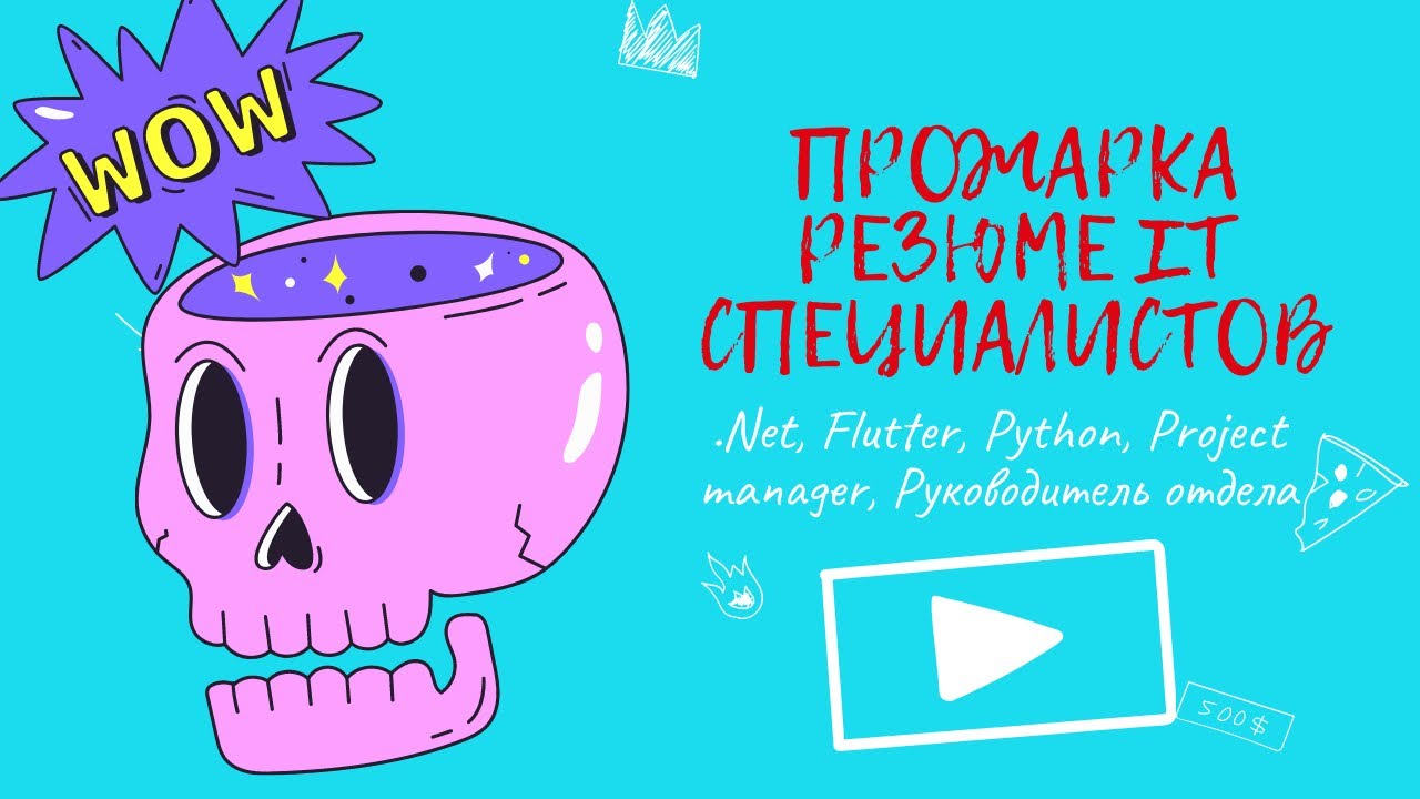Прожарка резюме Python программиста Net разработчика Project