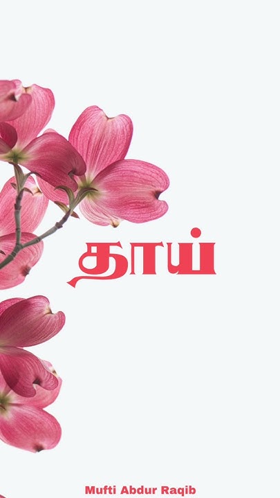 தாய் | தாயின் சிறப்பு | Mufti Abdur Raqib | Mufti AR Official #shorts #reels #reelsvideo - YouTube