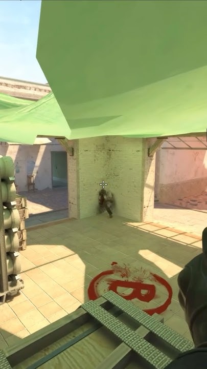 Pro #csgo #wtfcsgo #cs #counterstrike #counterstrikefacts #gaming #esportscsgo #csgoclips # ...