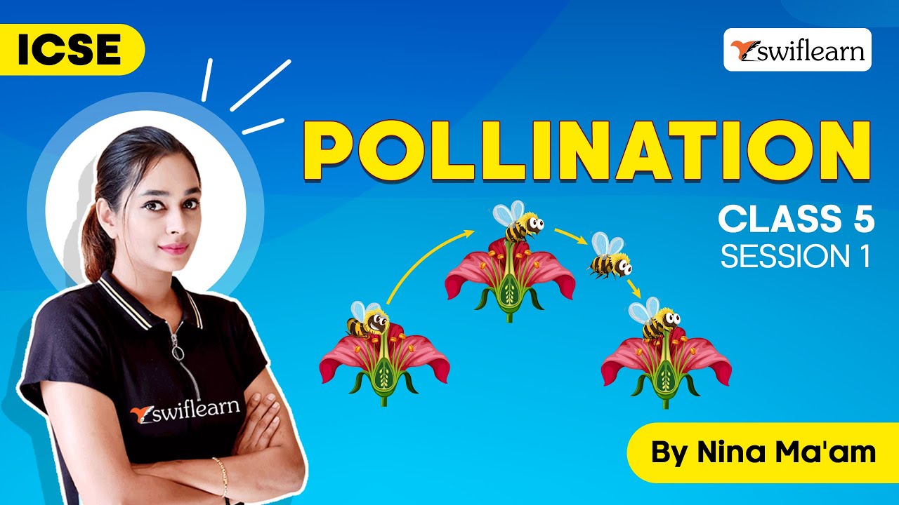 Pollination ICSE Class 5 Science Online Class Session 1 Pollination ICSE Class 5 Science Online Class Session 1