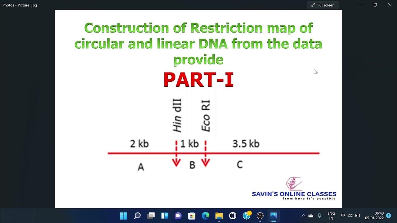 Restriction Mapping of Linear DNA : Restriction Mapping live class Part 1 - YouTube