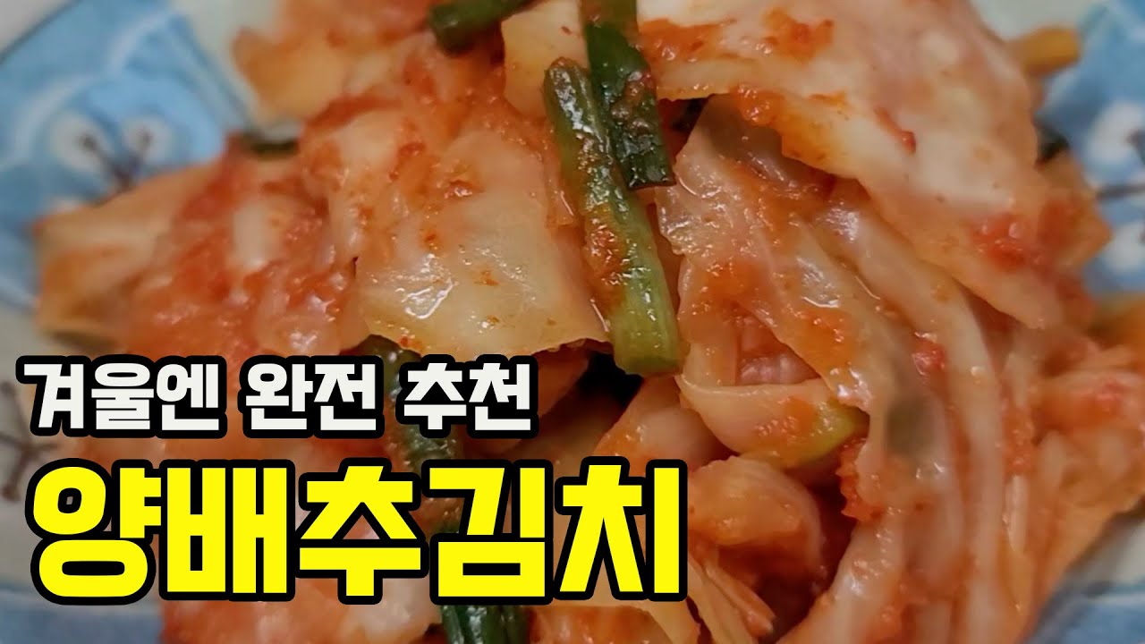 양배추김치🧡 너무 맛있어서 또 만들었다 겨울엔 완전 추천 양배추 절이는 방법 양배추 김치 양념장 만드는 법은