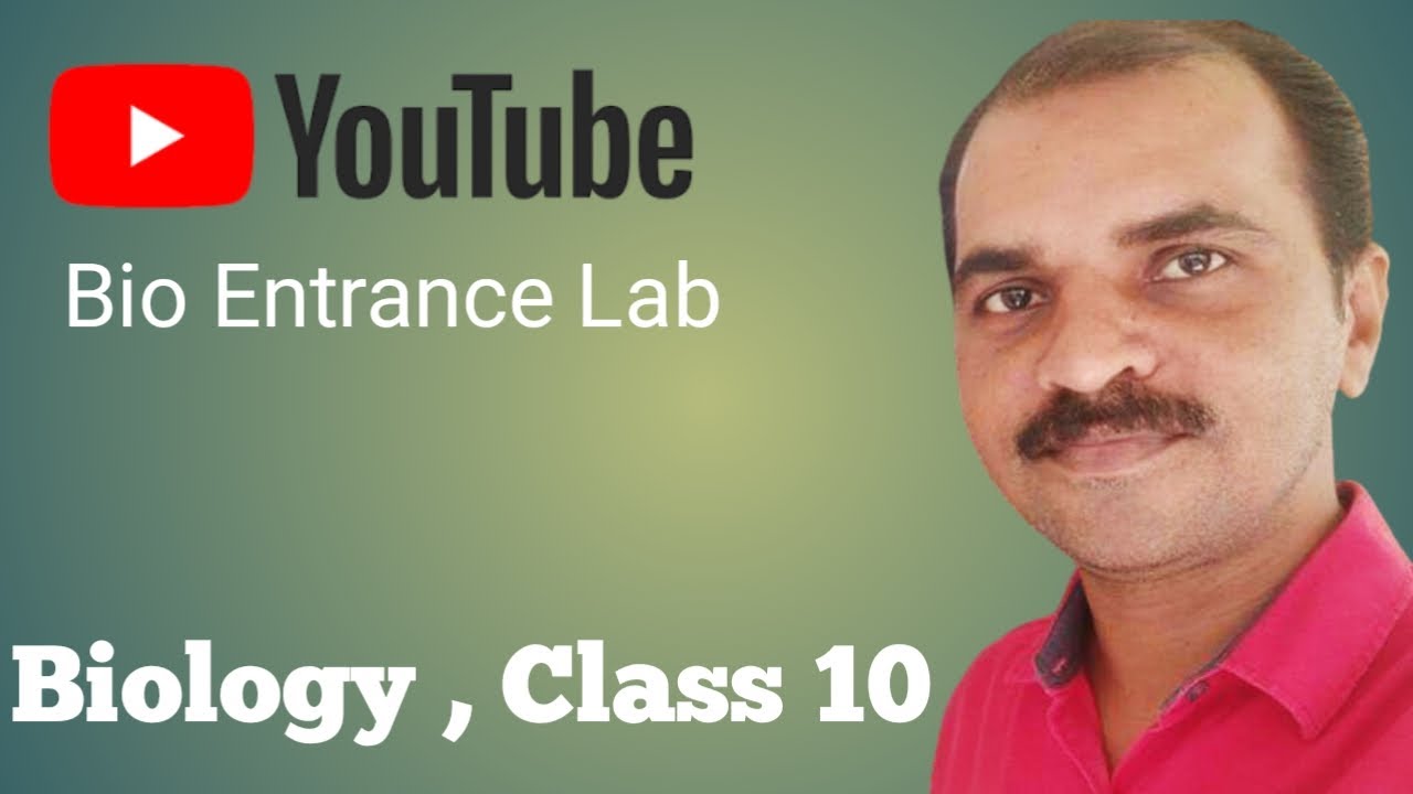 Class 10 Biology Windows of knowledge - YouTube