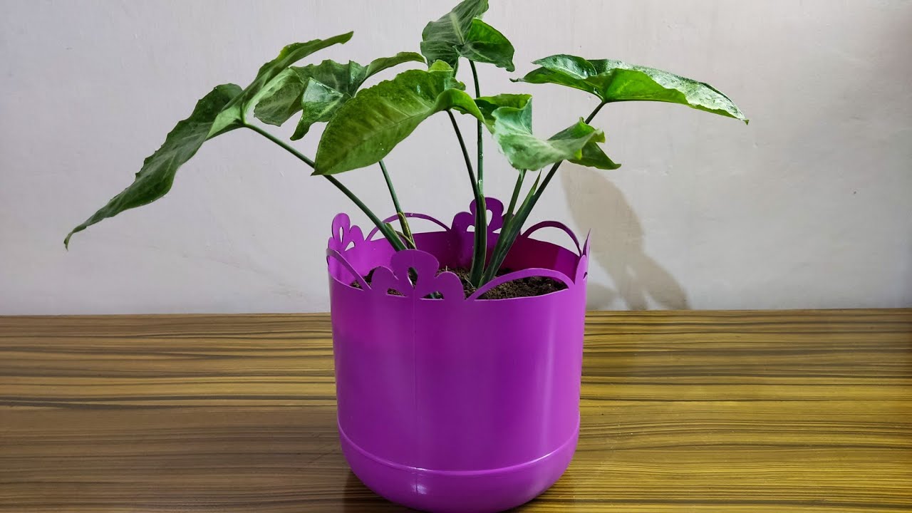 Recycling ideas | Flower pot - YouTube