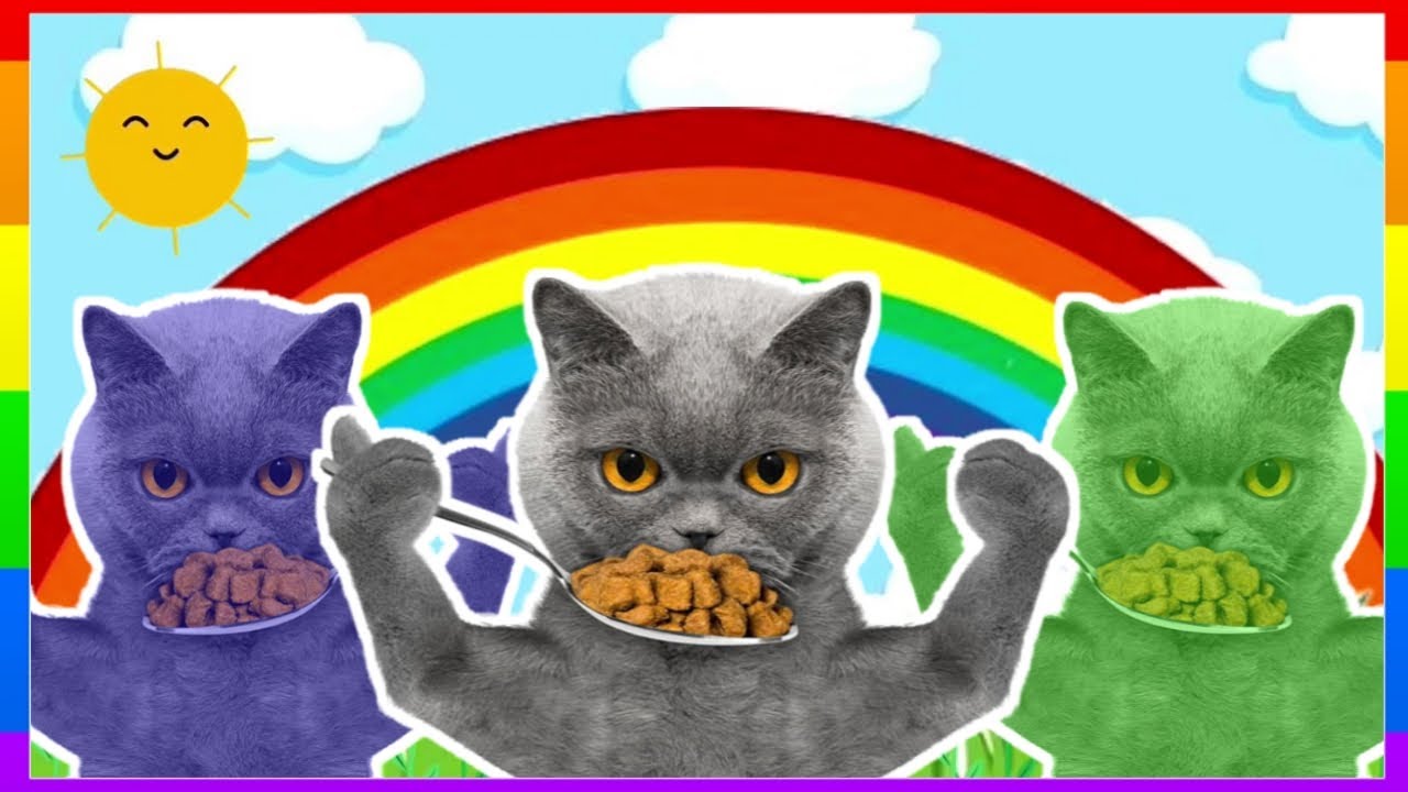 CUTE CAT & KITTEN MIAW MIAW | AWESOME WHEN CATS EAT - YouTube