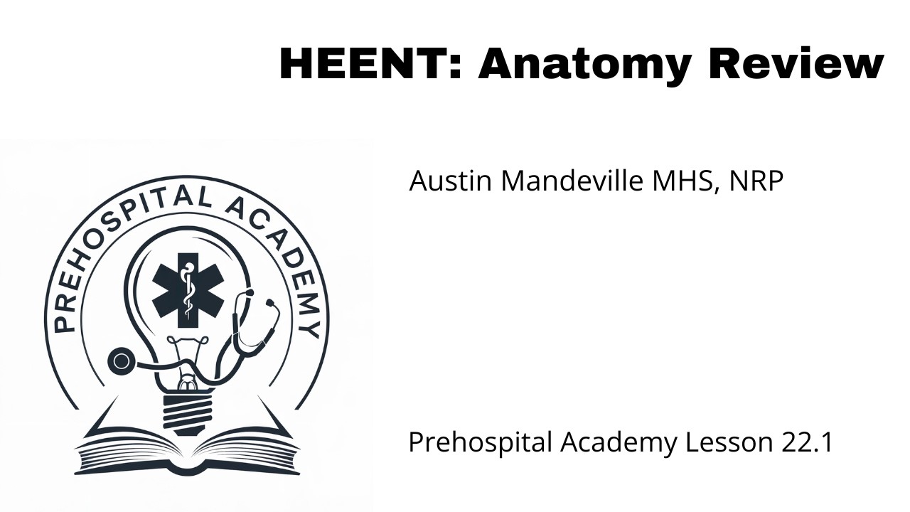 HEENT: HEENT Anatomy Review - YouTube