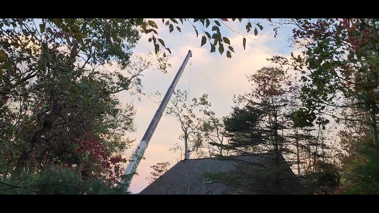 Tree Removal from Roof of Home After Hurricane Helene Damage - YouTube