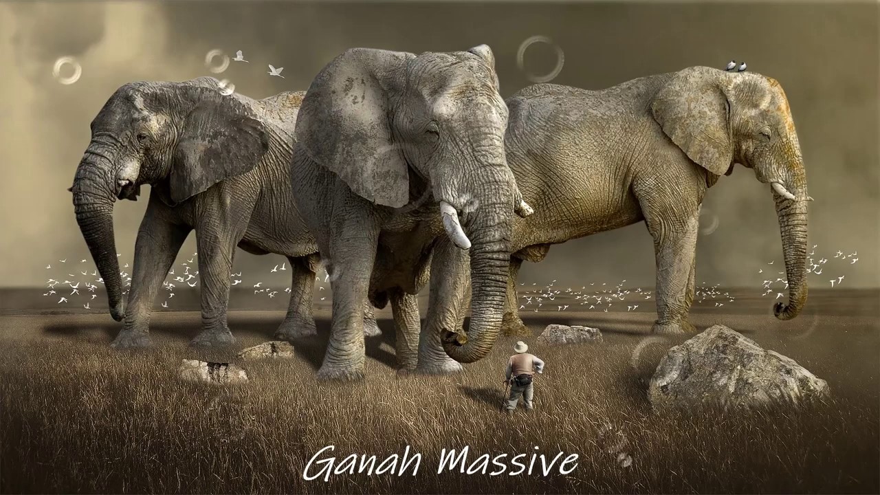 African Runes - Kxng Anima (Official Audio June 2020) - YouTube