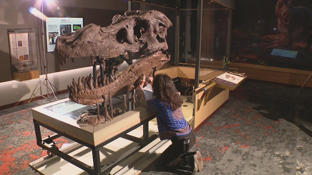 Inheritance money in dispute after death of woman who made millions off ...