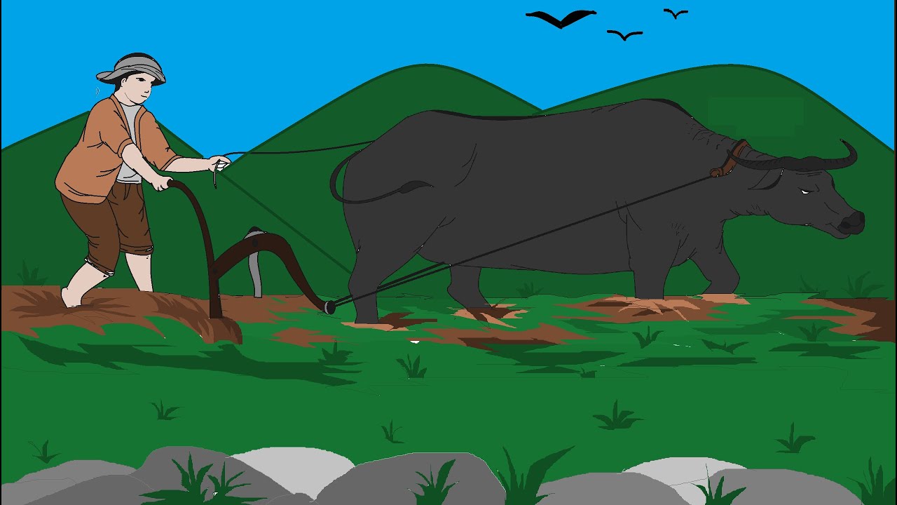 HOW TO DRAW FILIPINO FARMER CULTIVATING THE SOIL USING CARABAO ...