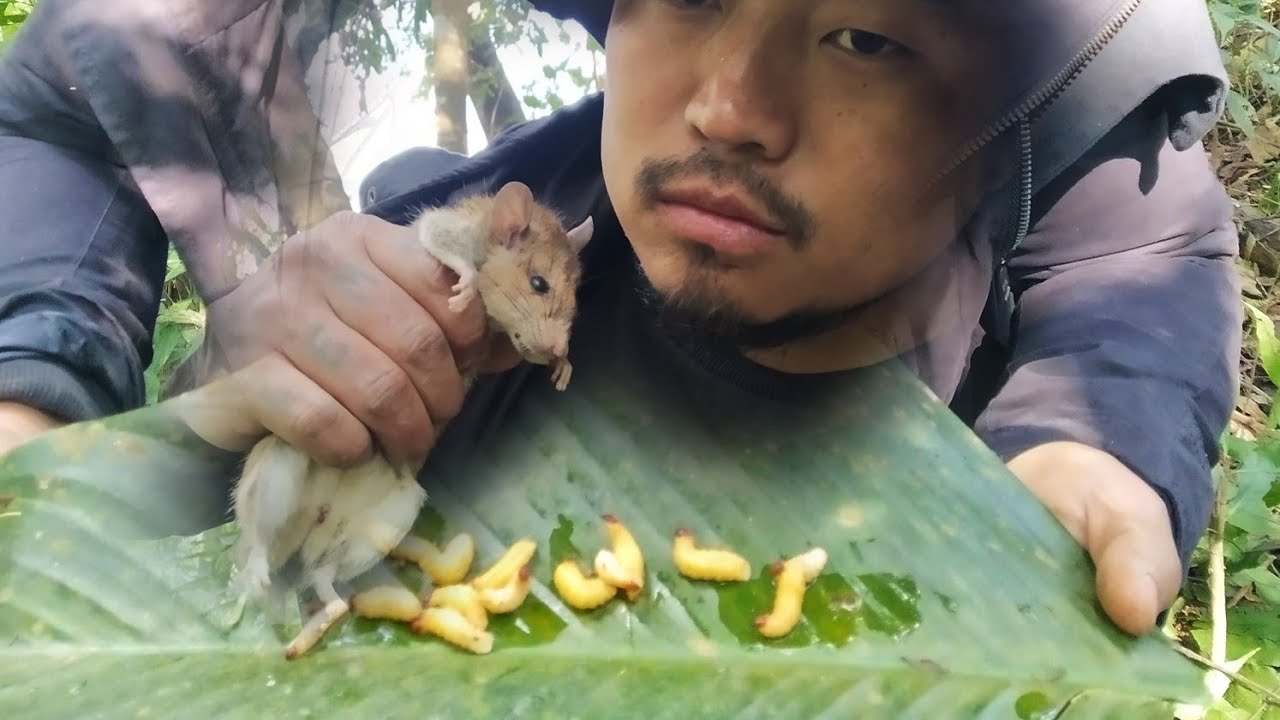 Unique way of Cooking Rat meat in a glass jar|survival food. - YouTube