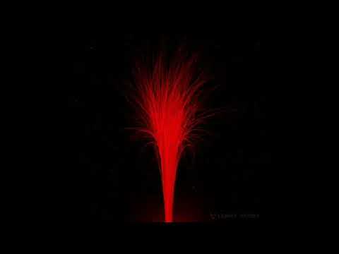 Falawr black screen effect