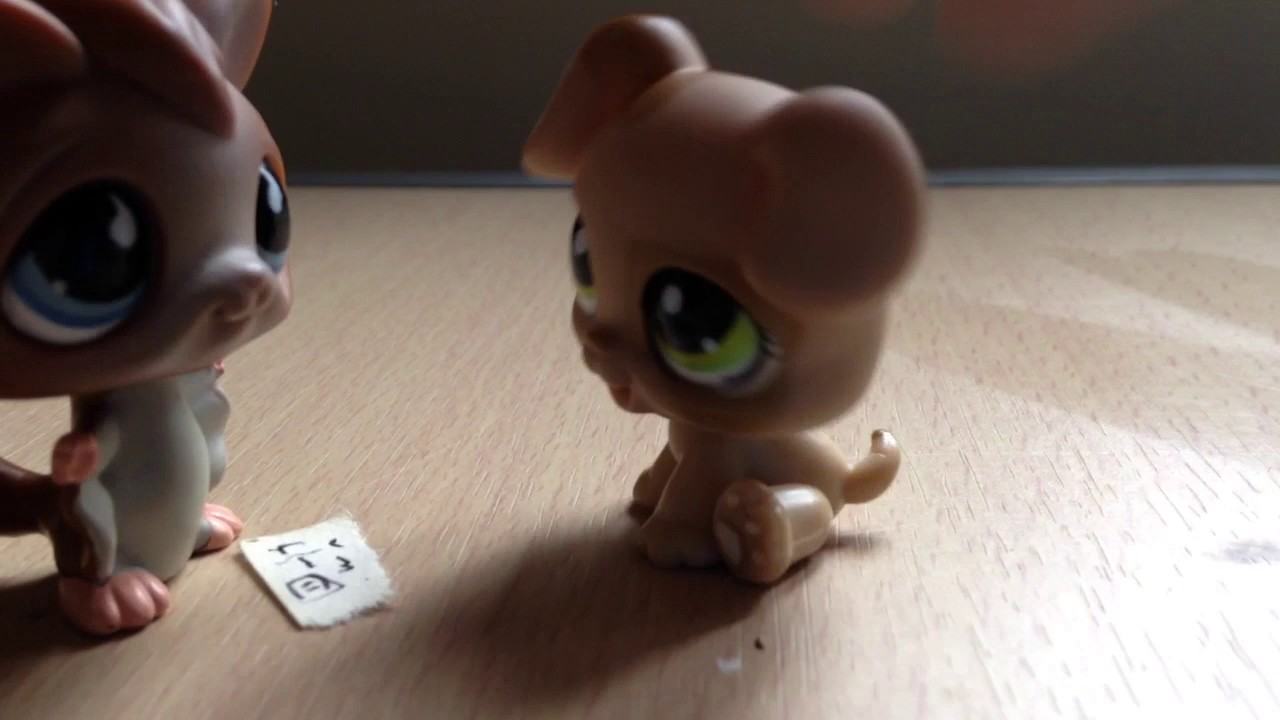 All the Way (I Believe in Steve) lps music video - YouTube