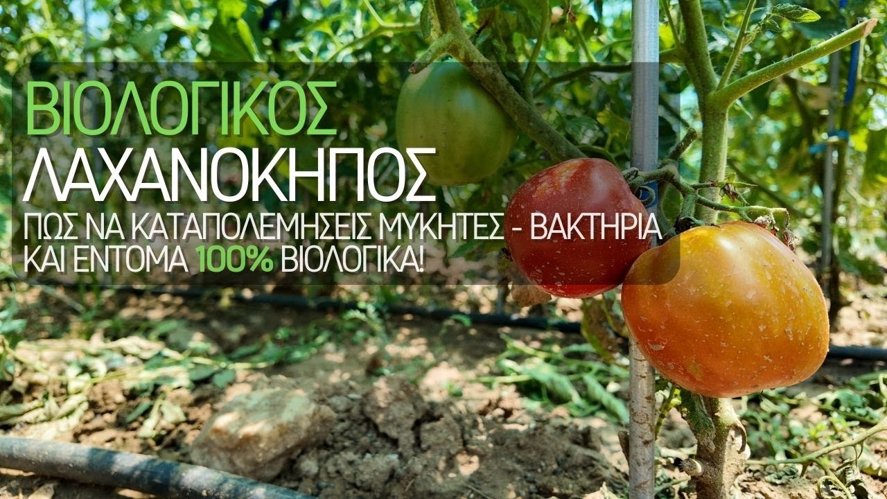 Βιολογικός Λαχανόκηπος - Οδηγός Καταπολέμησης Ασθενειών & Εντόμων 100% ...