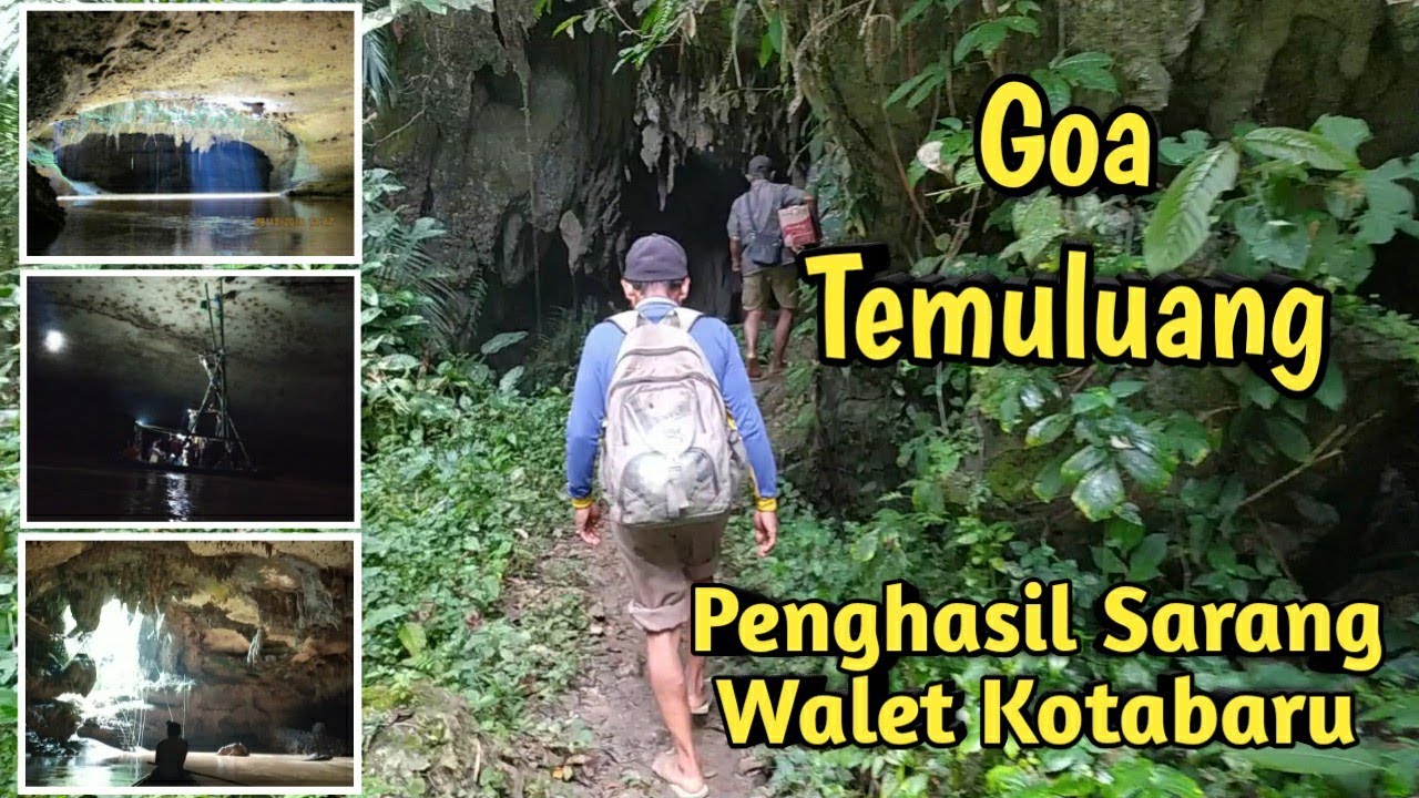 GOA PENGHASIL WALET ALAMI TERBANYAK DIKOTABARU - Goa Temuluang. - YouTube