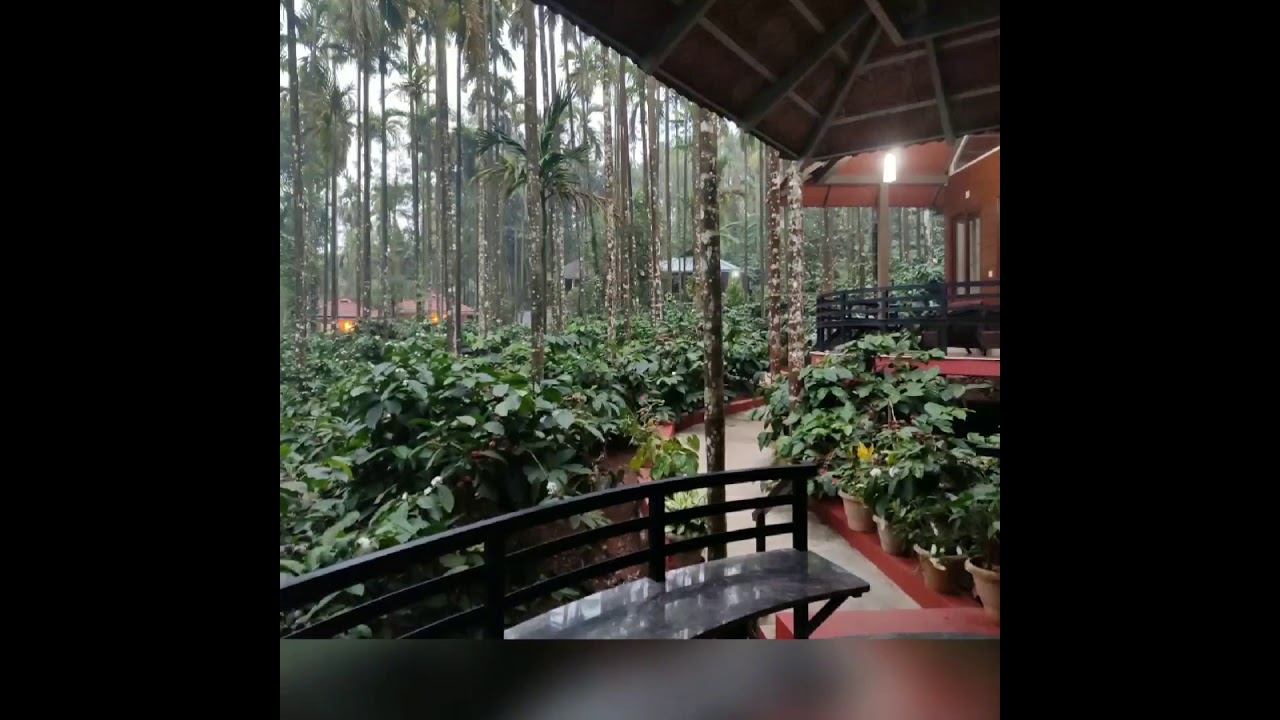 Coffee Gudda Homestay at Samse and nearest attractions - YouTube