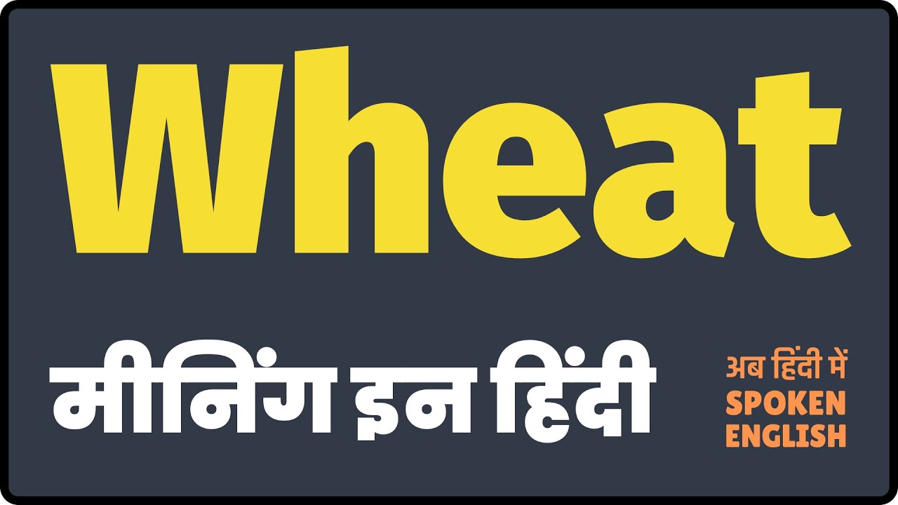Wheat Meaning In Hindi Wheat Ka Matlab Kya Hota Hai Wheat Ka Kya wheat-meaning-in-hindi-wheat-ka-matlab-kya-hota-hai-wheat-ka-kya