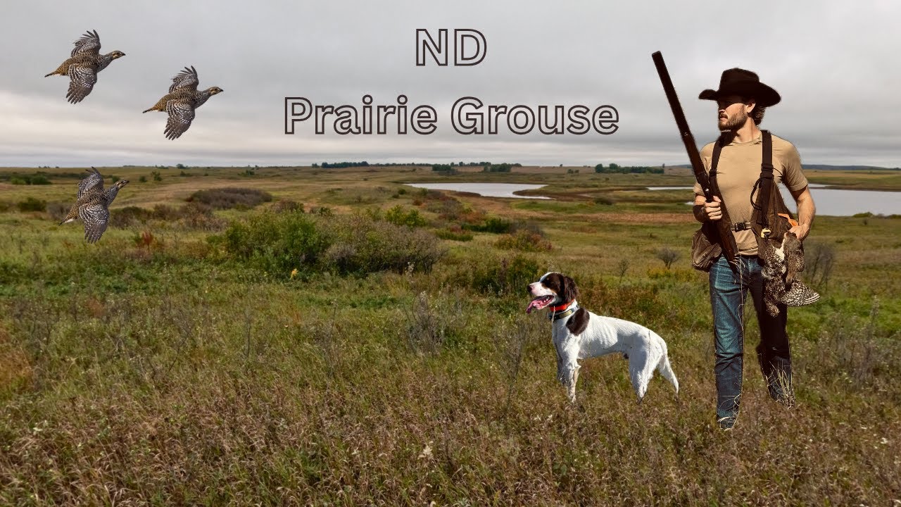 Prairie Grouse Hunt! | Limited!! - YouTube