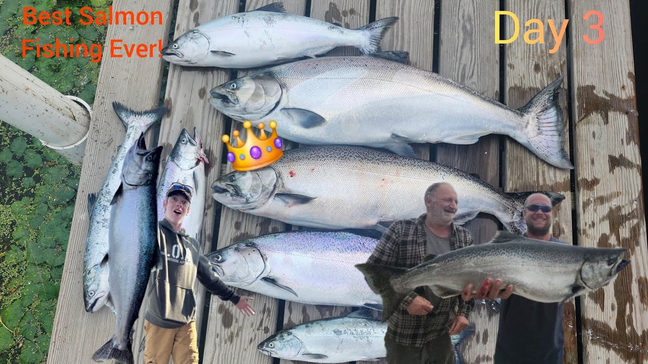 Crazy Salmon Action on Lake Ontario! How to Catch more Kings - YouTube