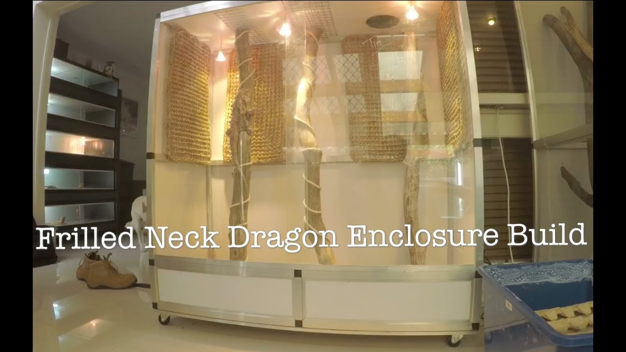 DIY Demo: Frilled Neck Dragon Enclosure Build - YouTube