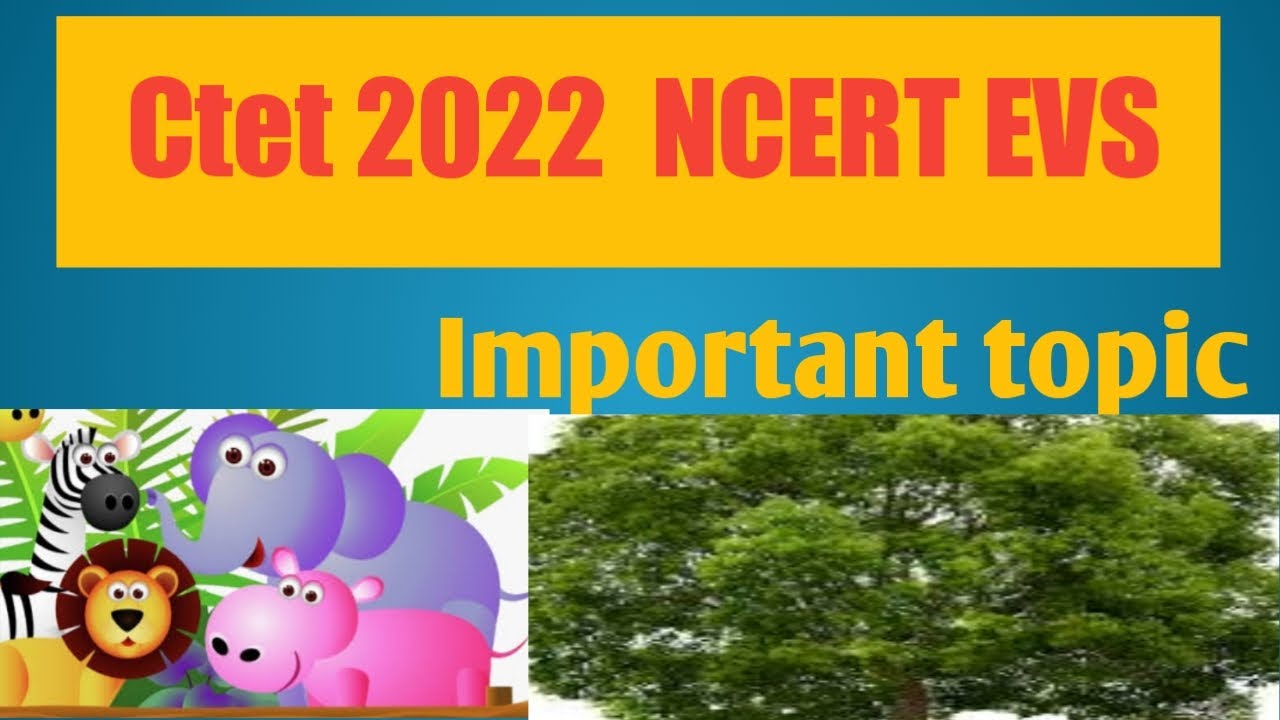 CTET NCERT EVS, CTET 2022 EVS important topic, ncert book se - YouTube