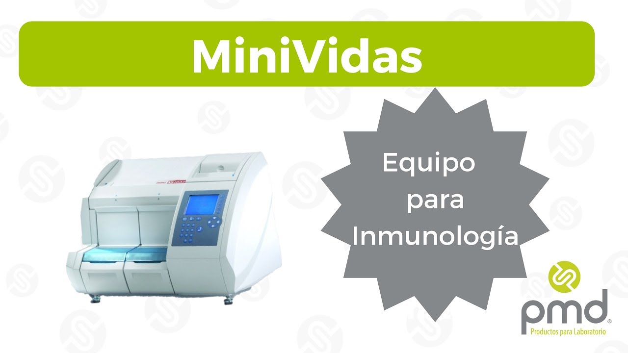 ¿Ya conoces MiniVidas? - YouTube