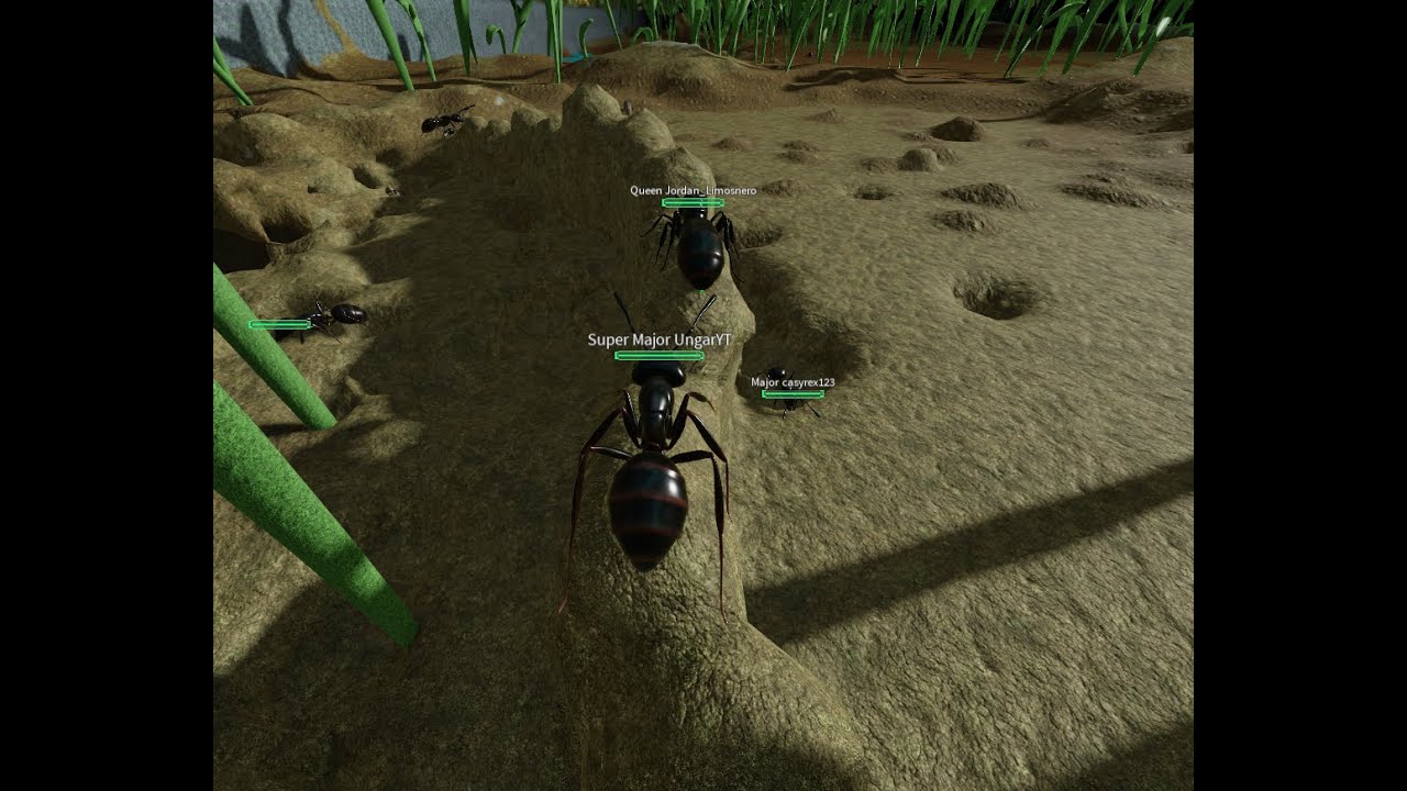 Building a wall! - Ant Life V2 Stream! - YouTube