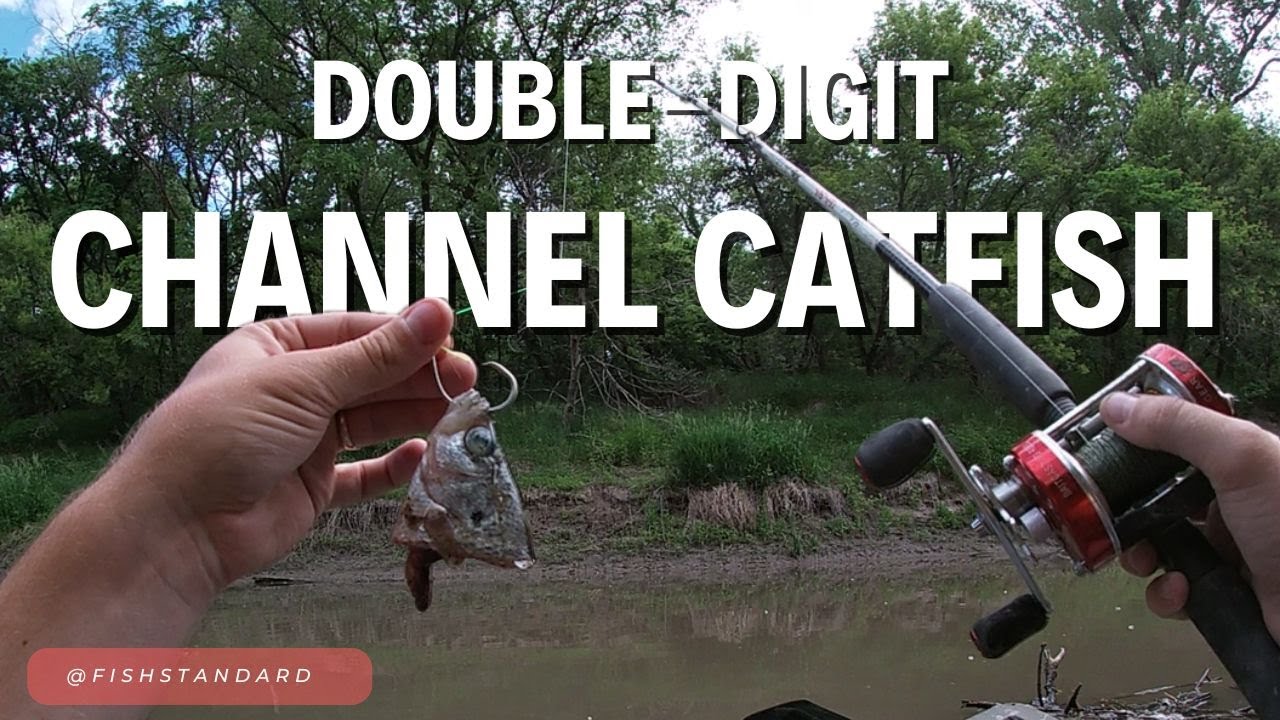 Kayak Catfishing a Shallow River | Big Channel Catfish Back-to-Back ...