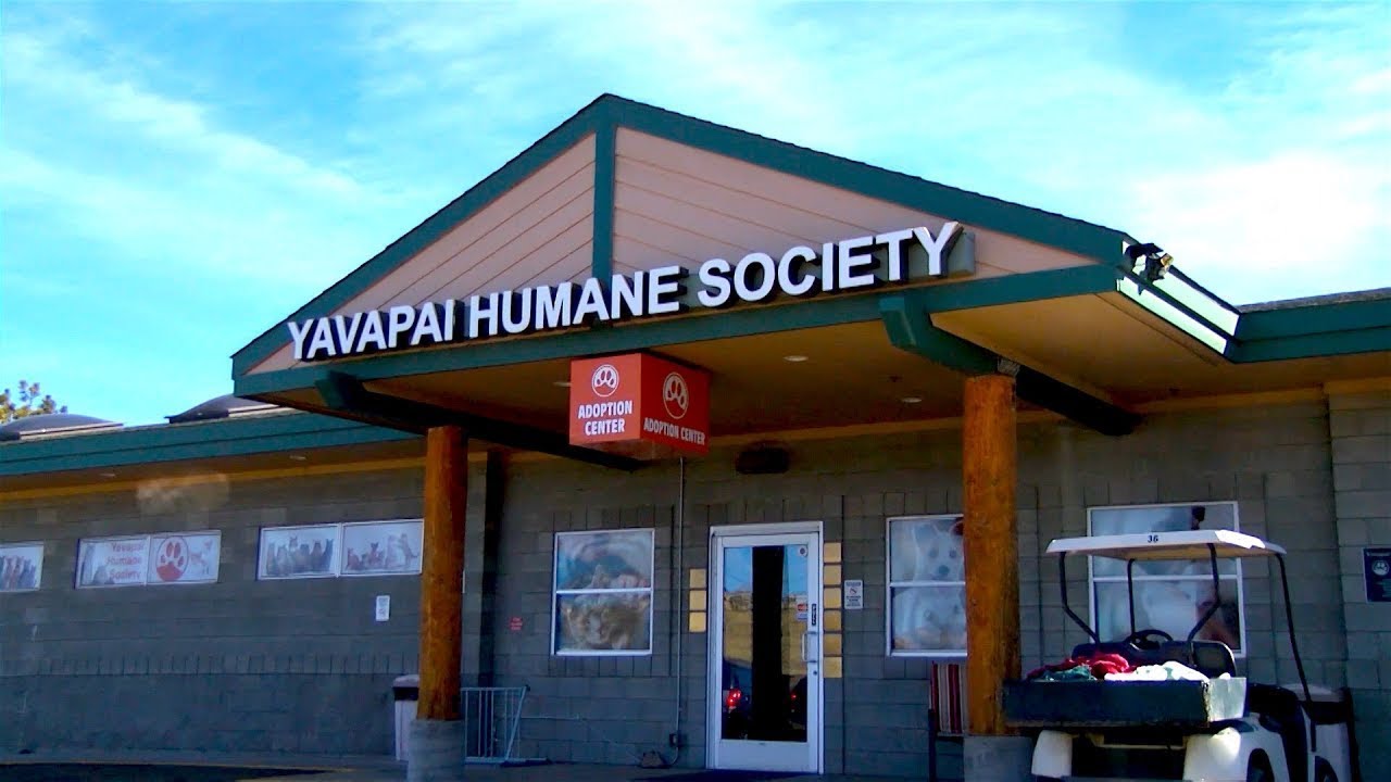 Yavapai Humane Society Needs Your Help - YouTube