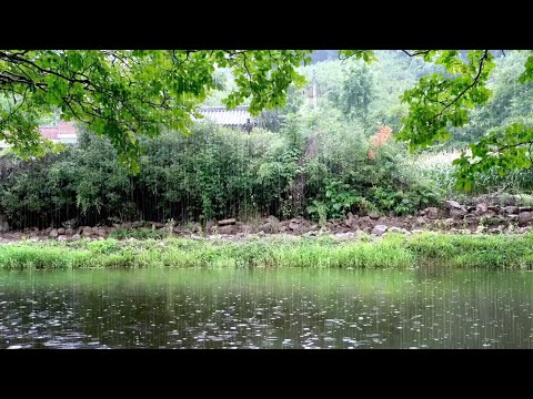 Sakit gölməçəyə yağan sakit yağış - şəfa, istirahət və yağışın yumşaq səsi ilə dərin yuxu