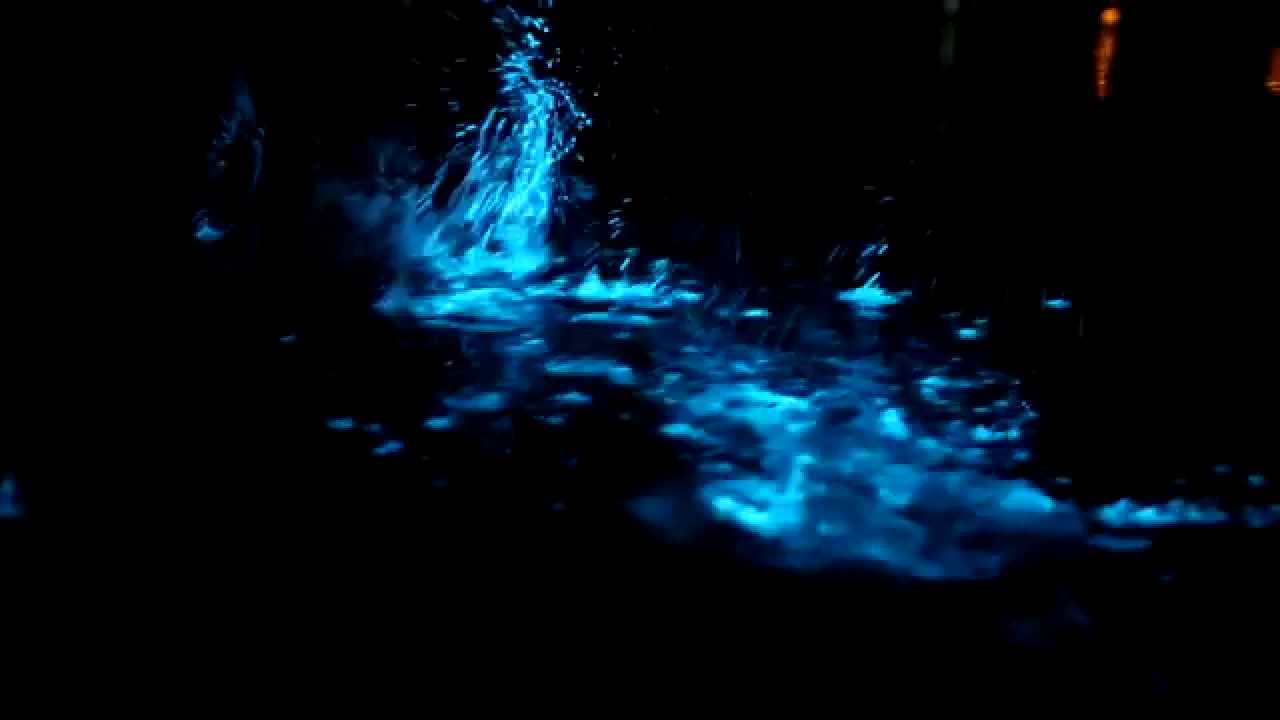 Bio-Luminescence Tasmania - YouTube