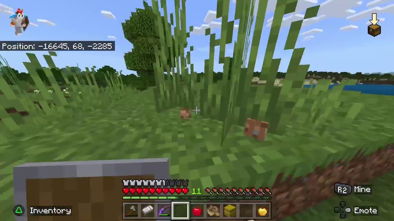 Minecraft Vanilla bella P9 Cercando il legno di mangrovia - YouTube