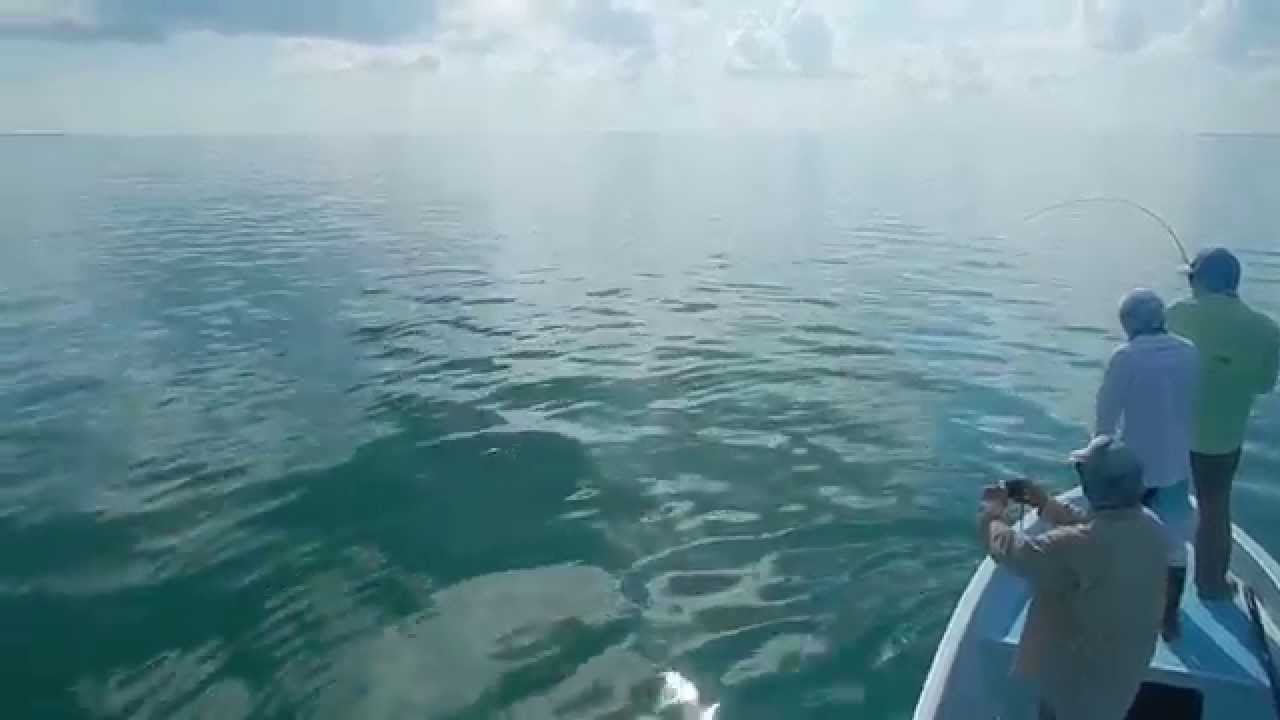 FLAY FISHING ,PUNTA ALLEN , SIAN KAAN .Q,ROO - YouTube