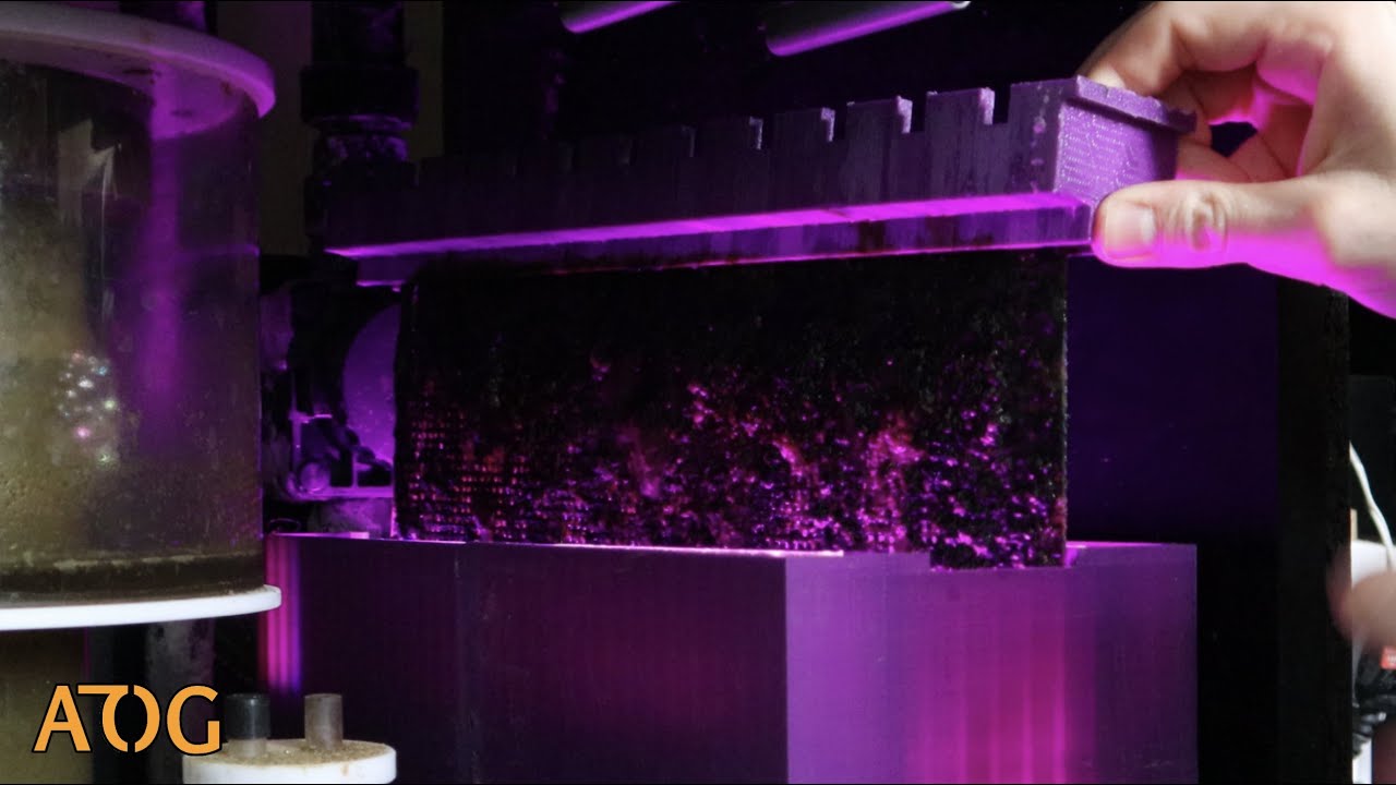 3D Printed Algae Scrubber 1 Month Harvest - YouTube