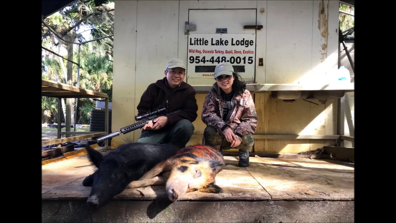 Florida Swamp Buggy Hog Hunt 15 Jan 2018 - YouTube